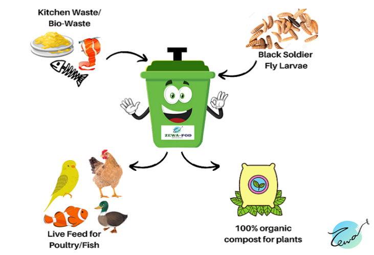 A portable BSF bin for household organic waste management